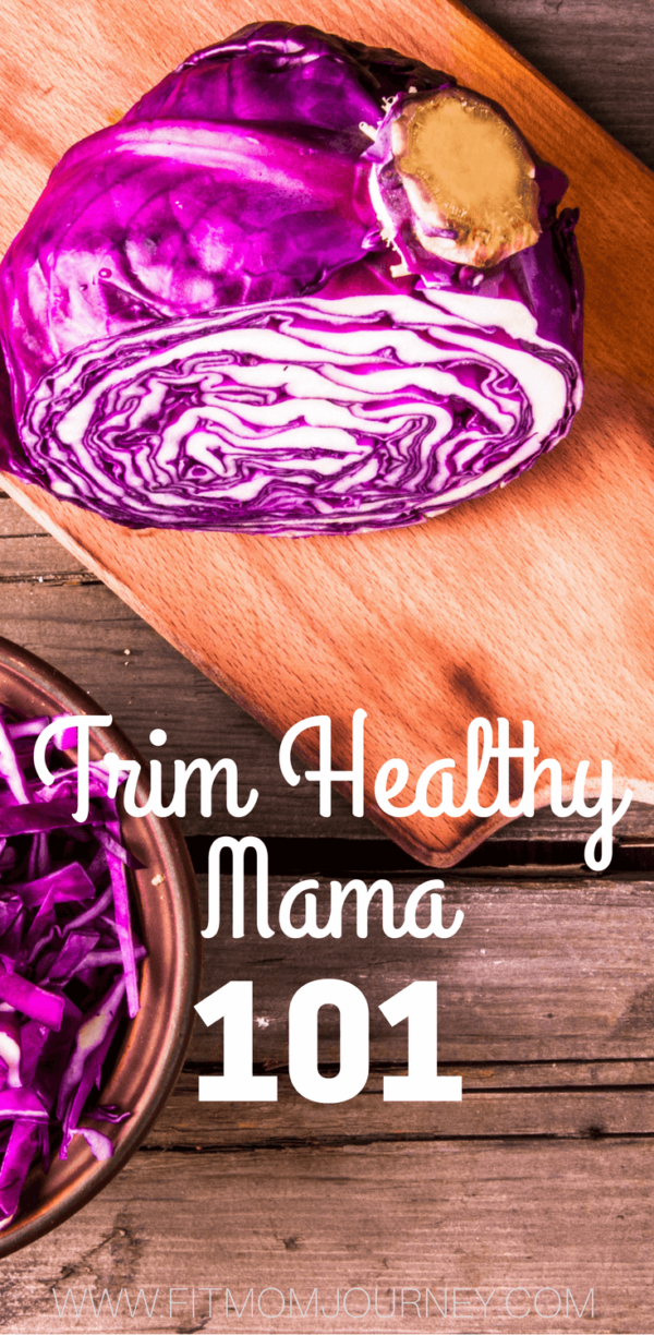 Trim Healthy Mama 101 - Fit Mom Journey
